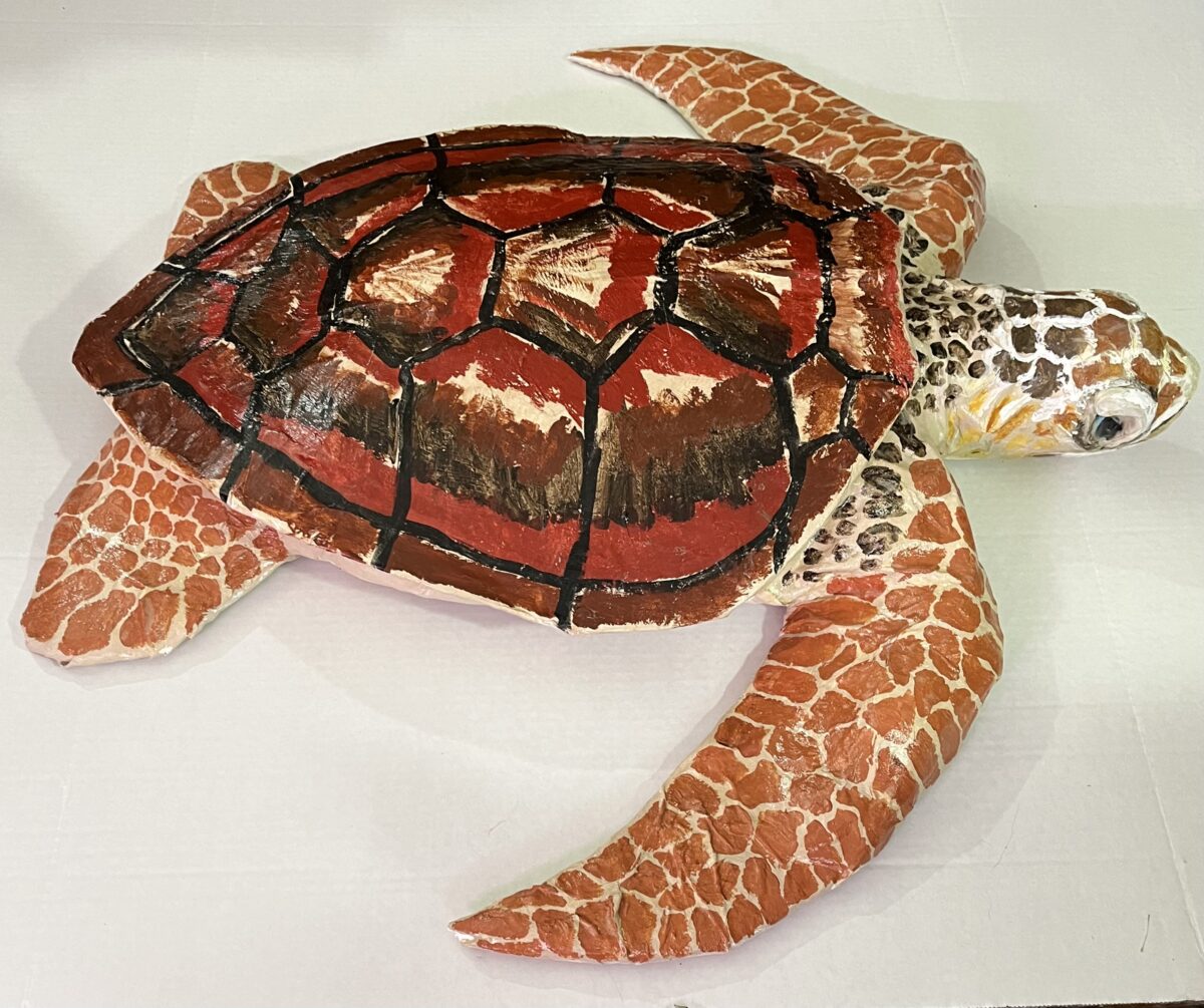 Loggerhead Turtle - Papier mâché , in Papier mâché
